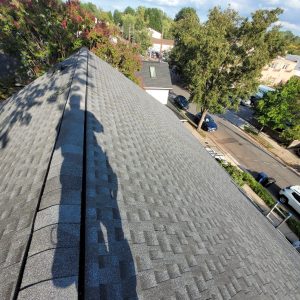 Roofing - Virginia Diamond